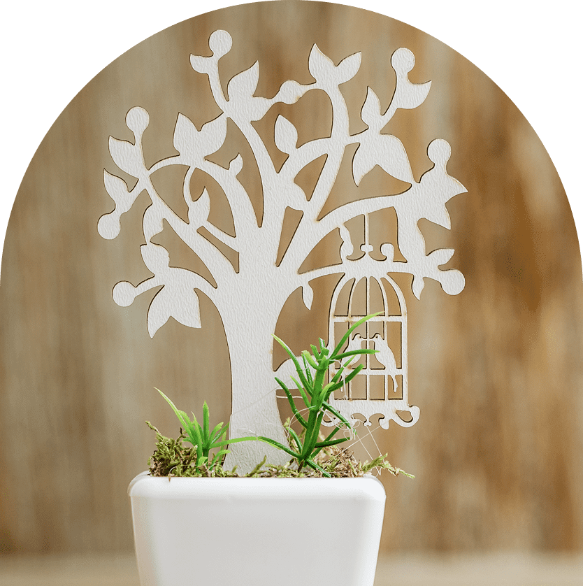 VARIETY PACK Archives - Wooden Wonder Gifts